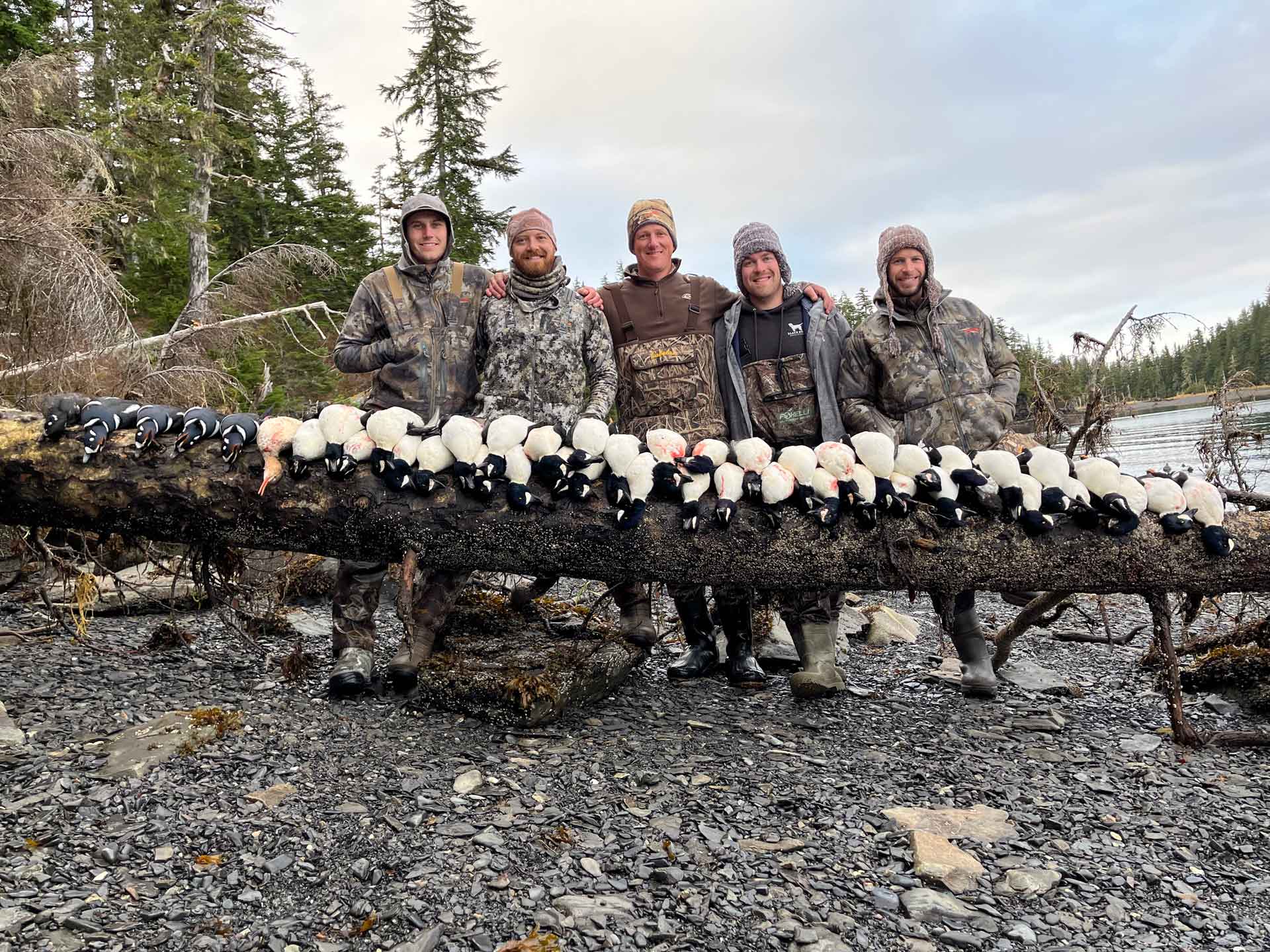 ABOUT - Harlequin Duck Hunts